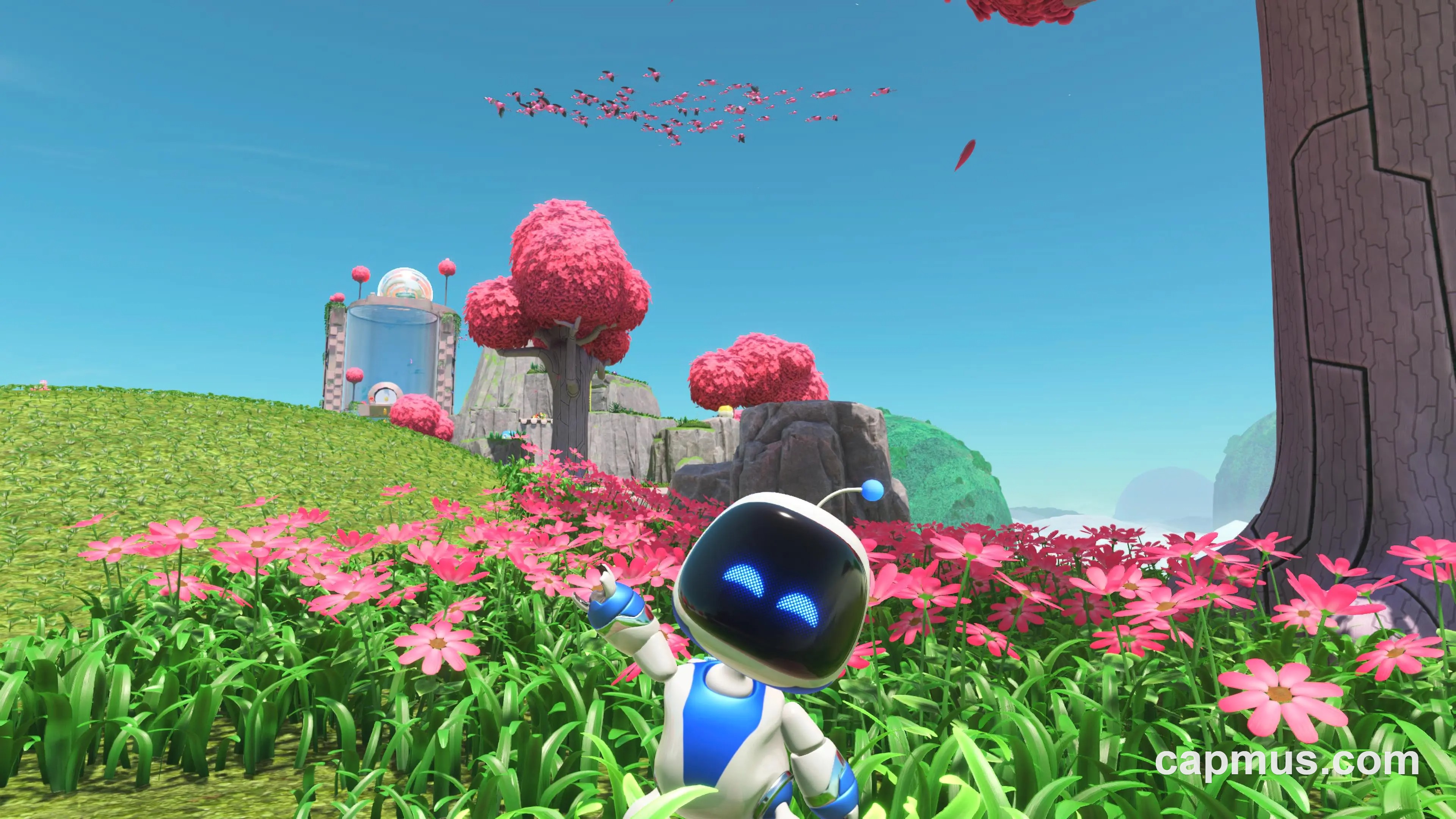 Astro Bot Video Game - $30 | For Sale at Xavier University | Capmus ...